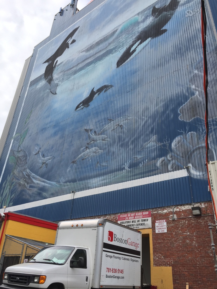 Caring for Boston's Whale Wall Building from the Inside